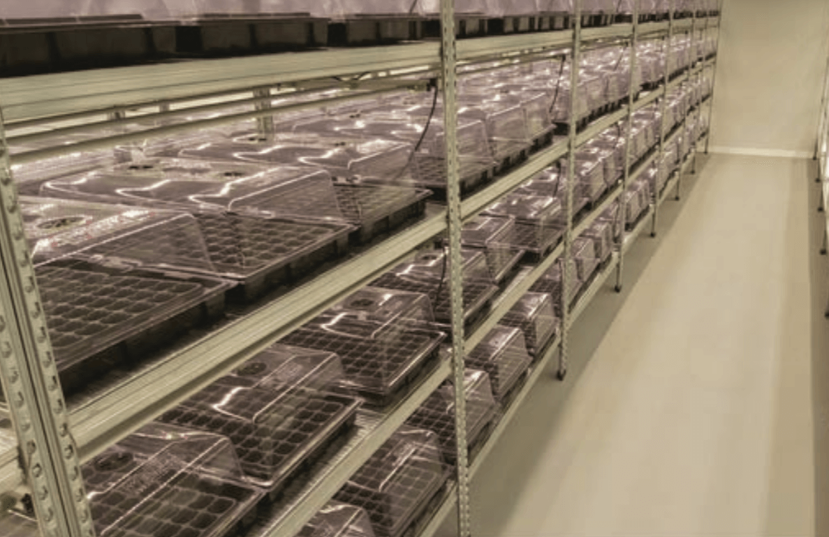 May 2021 Completion of Greenhouses and Cultivation Site | Symtomax